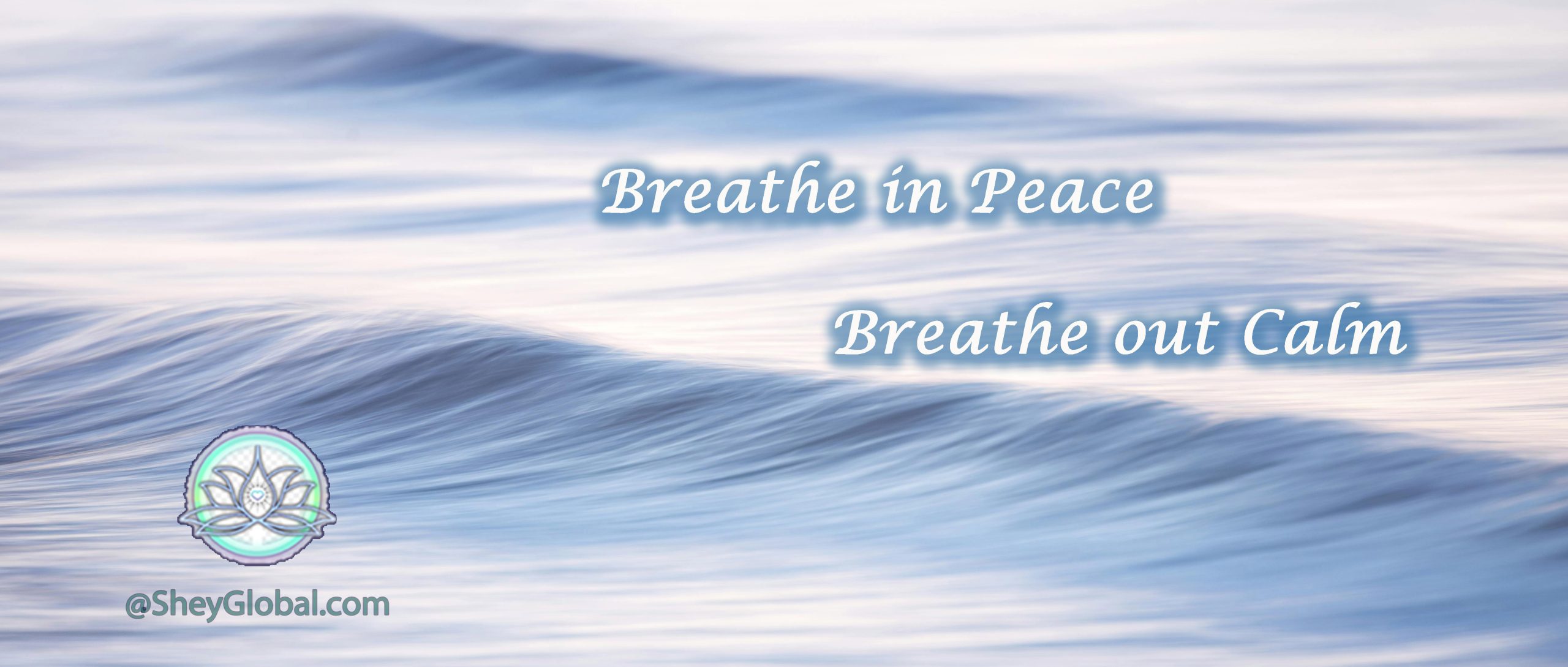 The Peace Practice Checklist: Simple Steps to Cultivate Inner and Outer ...